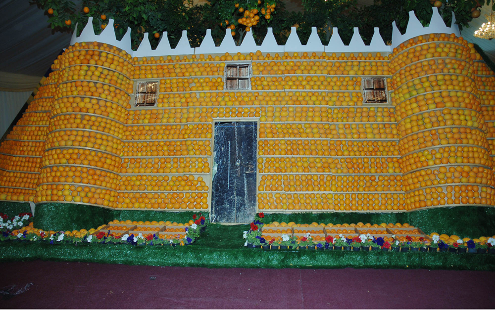 نجران.. برتقالة الصحراء