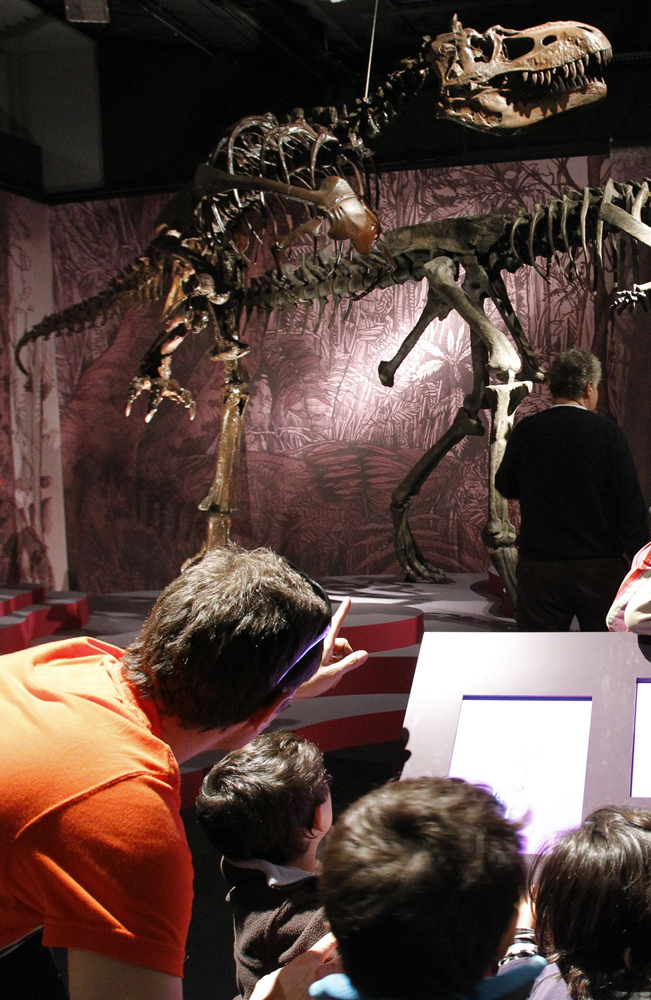 هيكل عظمي للديناصور Alcidedorbignya مع جنينه يبلغ أكثر من 64 مليون عام ...