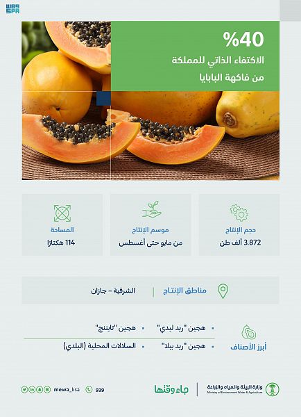 4 آلاف طن إنتاج السعودية من فاكهة البابايا .. الاكتفاء الذاتي 40 % ا ...