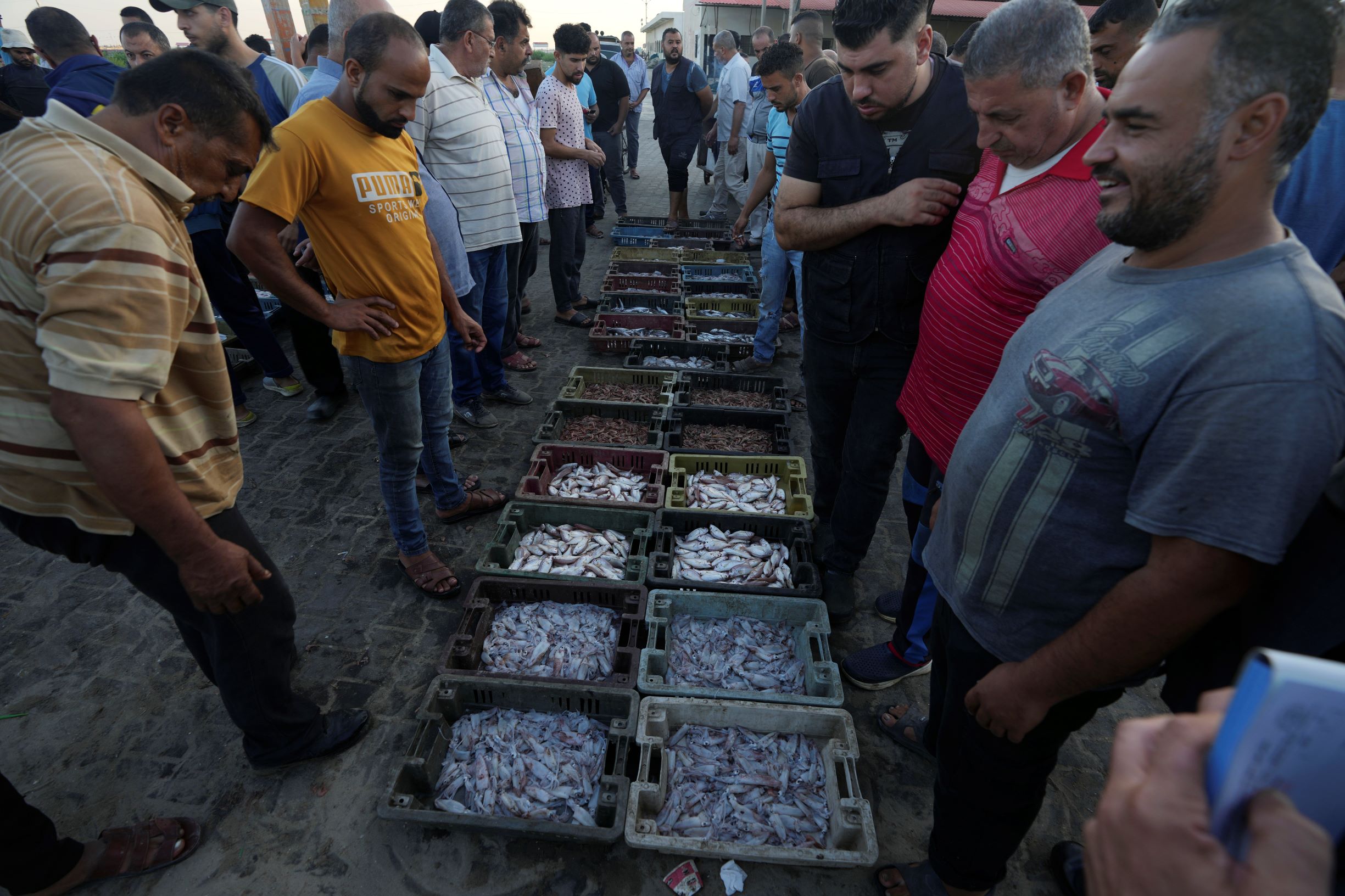 3 ملايين دولار خسائر قطاع غزة شهريا بفعل منع الصادرات صحيفة الاقتصادية