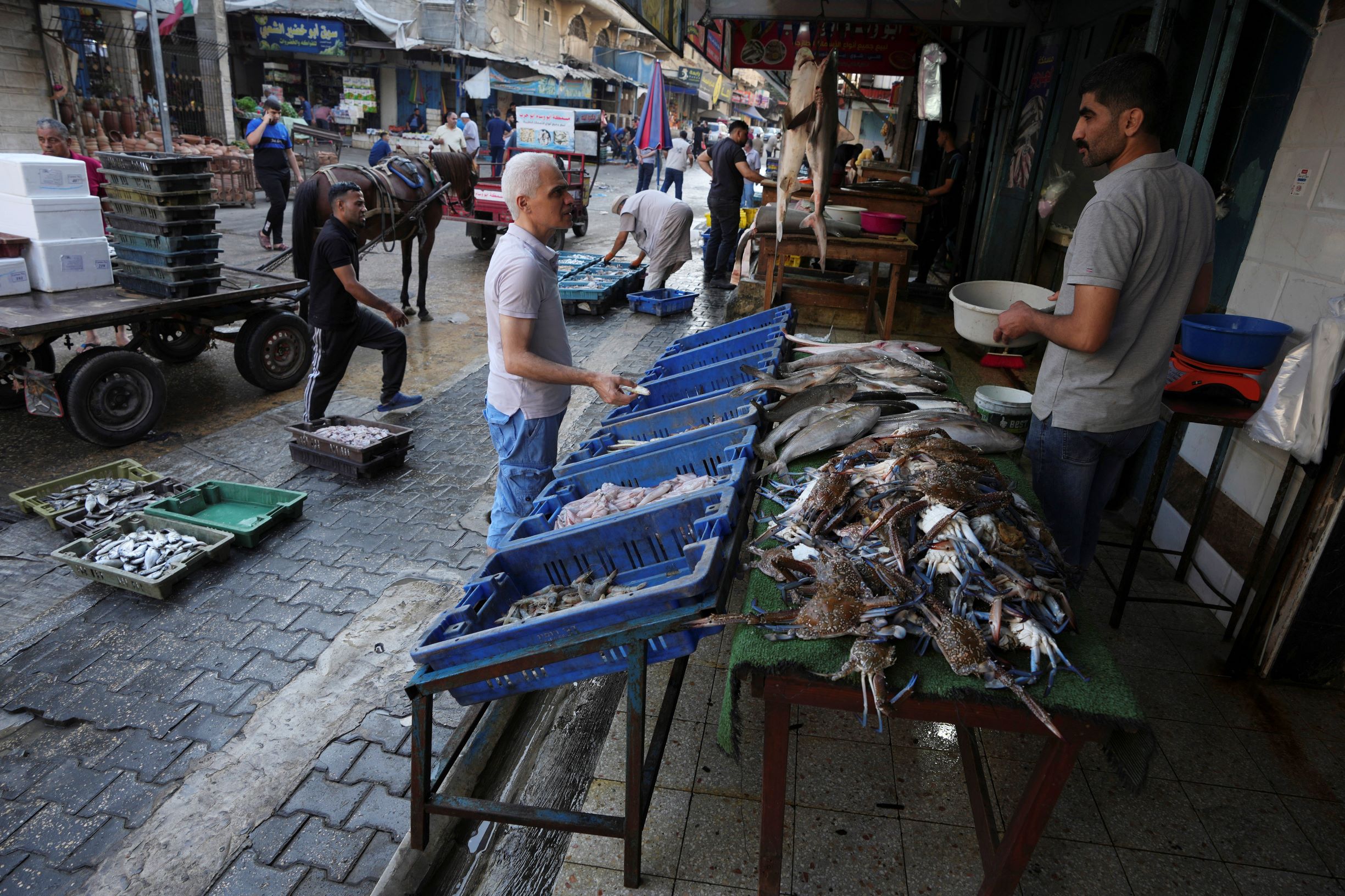 3 ملايين دولار خسائر قطاع غزة شهريا بفعل منع الصادرات صحيفة الاقتصادية